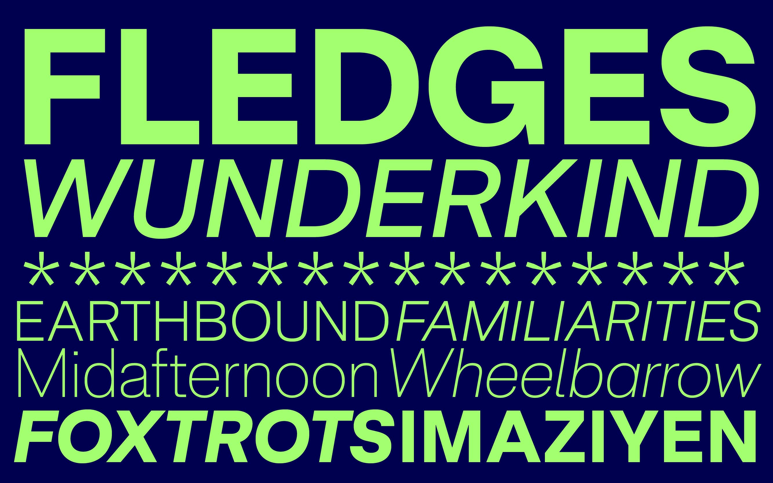 Rules font - A modern Neo-grotesque font with an edge | French Type ...